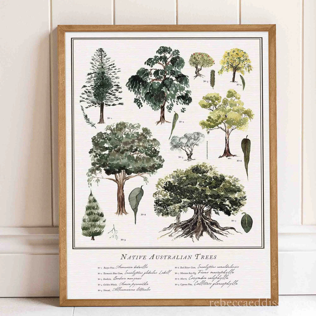 Australian Tree Identifier Poster | FREE shipping – Rebecca Eddison