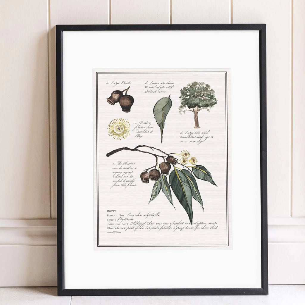 Marri Tree Print | Australian natives series | Free shipping – Rebecca ...